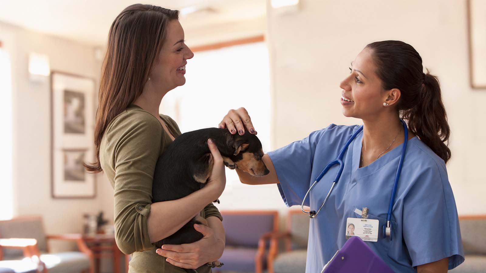 10 Brilliant Ways to Optimize Your Veterinary Payment System- Weave