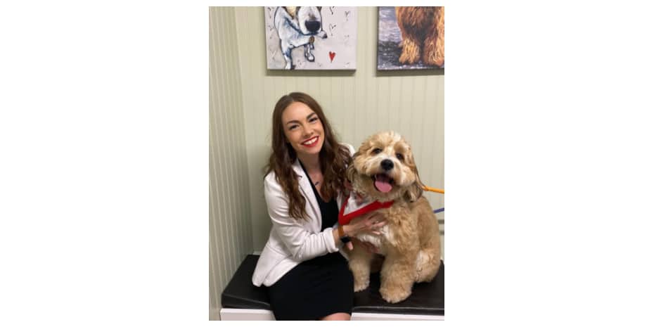 Veterinary Clinic Damage Control: How to Manage the Unthinkable - Weave ...