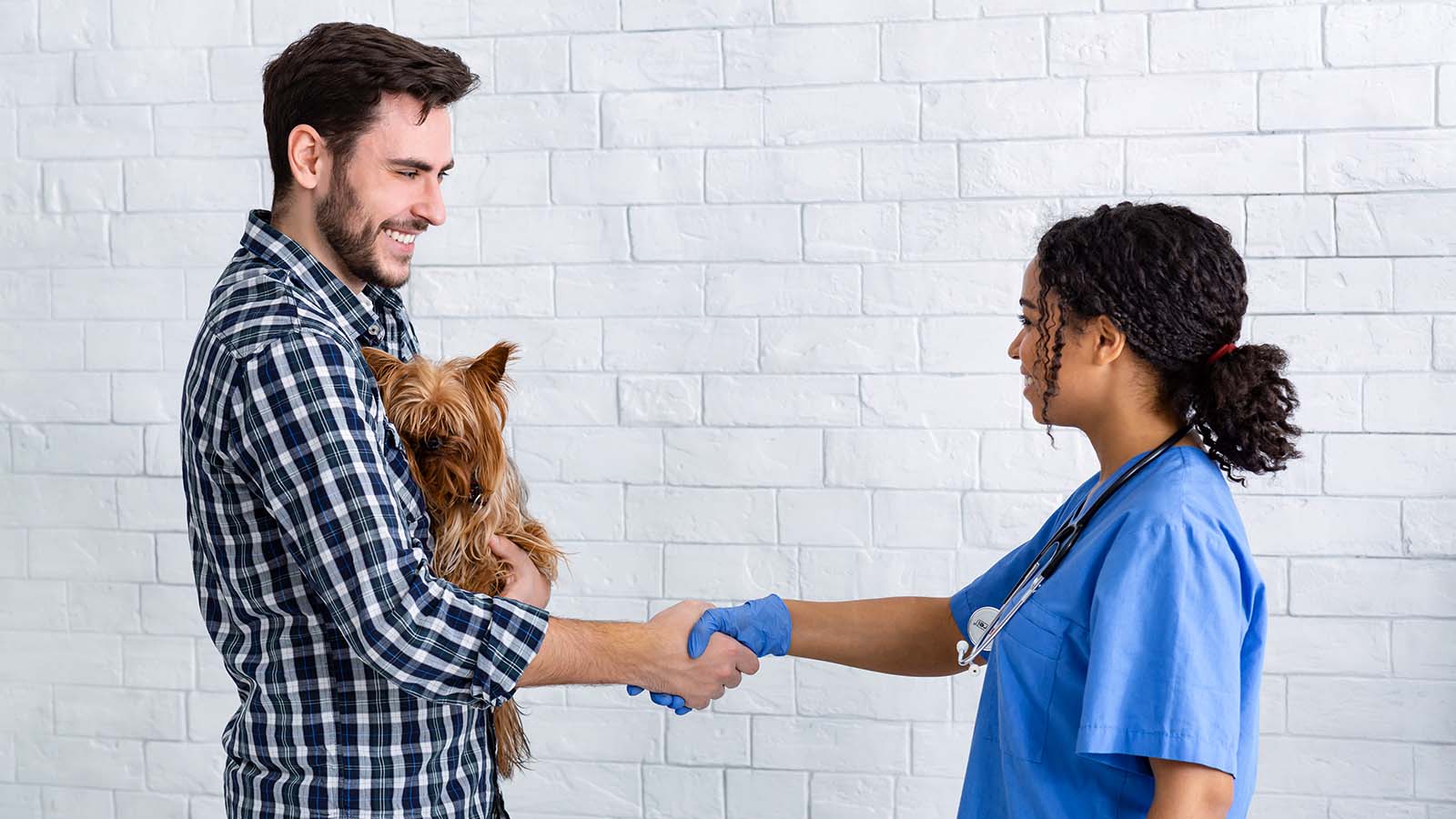 How Veterinary Practices Can Use Two-Way Texting To Improve Client ...
