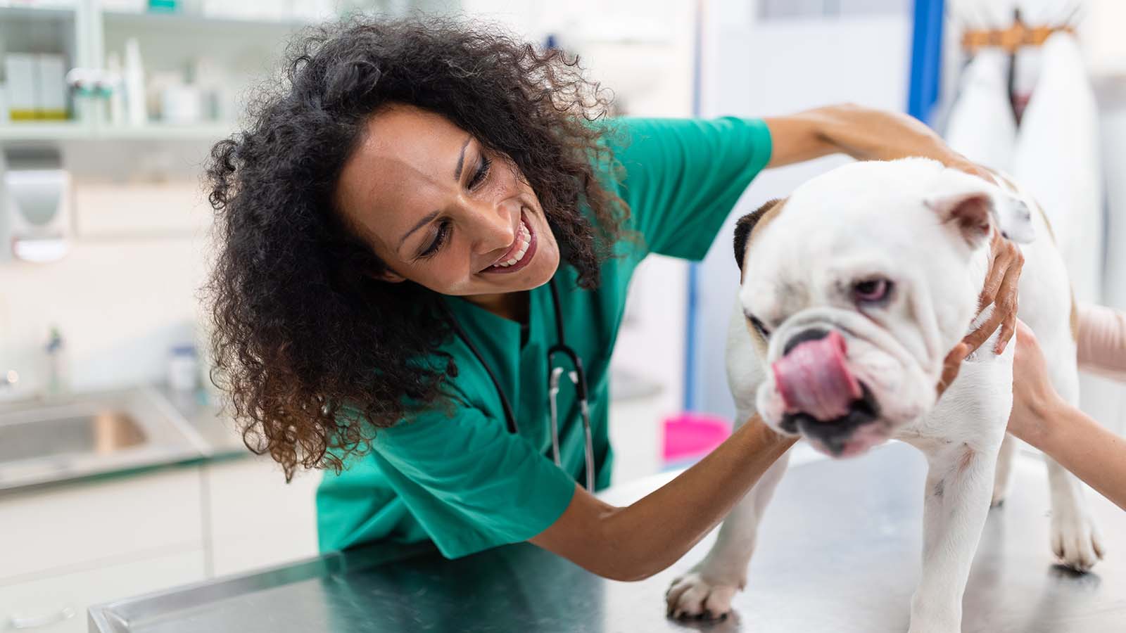13 Interesting Veterinarian Facts Weave 13 Interesting Veterinarian Facts Weave