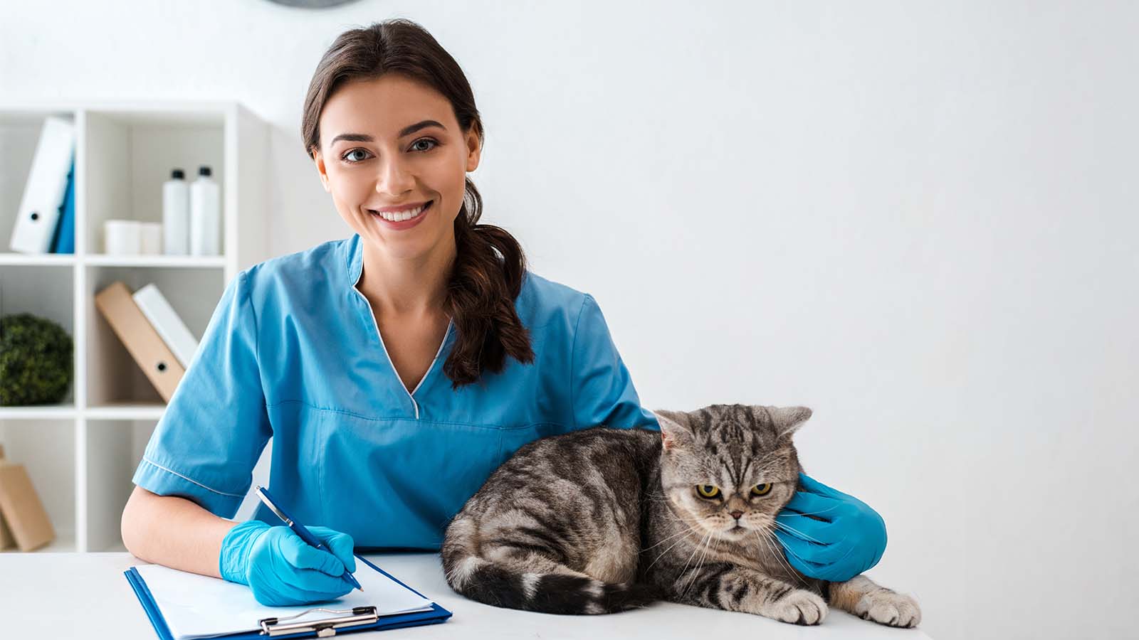 World Veterinary Day: How to Celebrate at Your Practice | Weave | Weave