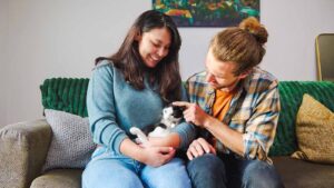 Feline Dental Chart: What you need to know - Weave | Weave