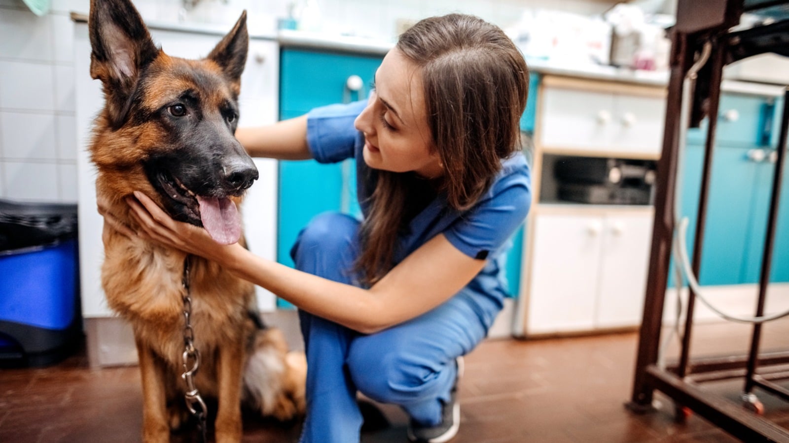 The Great Veterinary Staffing Crisis - Weave