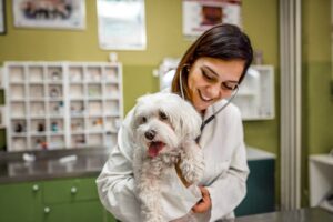 Celebrating Vet Tech Week at Your Practice | Weave | Weave