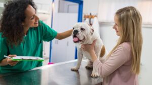 Veterinary Payment & Billing Solutions: 9 Considerations | Weave | Weave