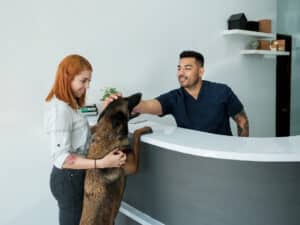 Veterinary Receptionist Week: Tips for Appreciation | Weave | Weave