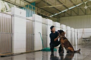 Kennel Cough Cleaning Protocol for Vet Practices | Weave | Weave