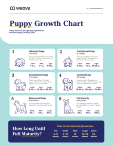 Creating a Puppy Growth Chart for Veterinarians | Weave | Weave