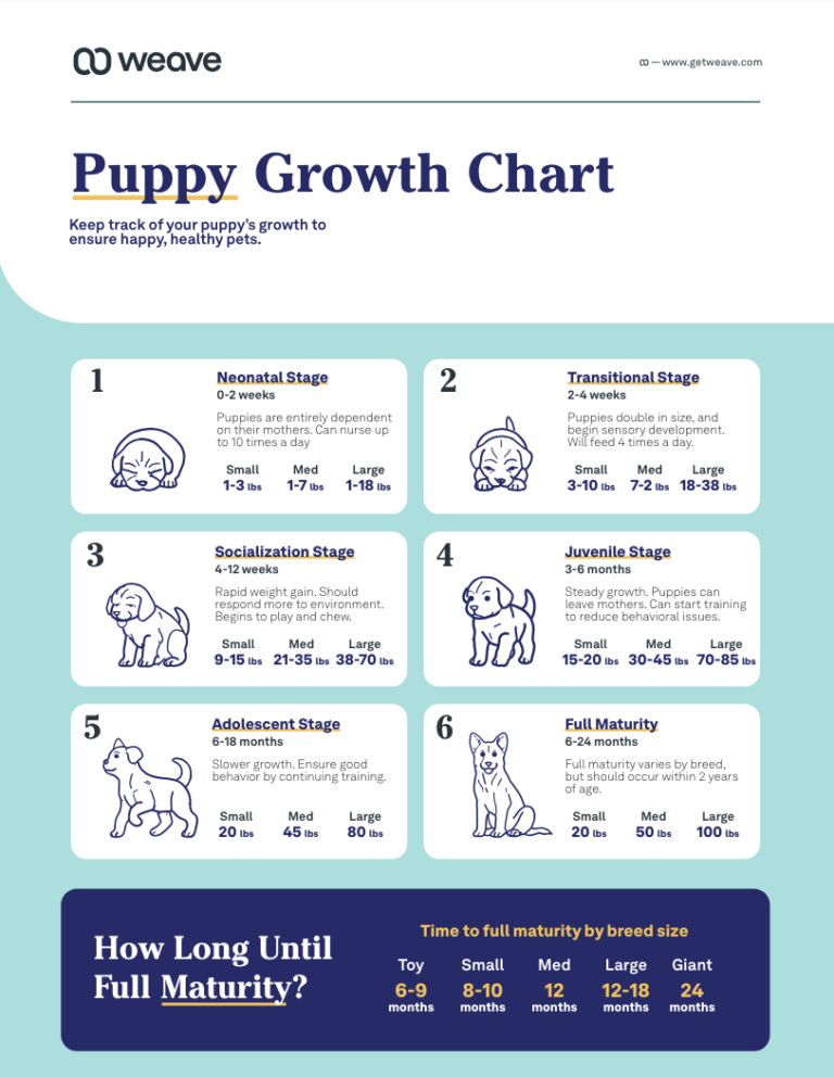 Creating a Puppy Growth Chart for Veterinarians | Weave | Weave