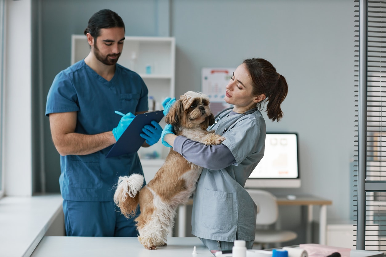 SOAP Vet Med: Streamline Veterinary Notes | Weave | Weave